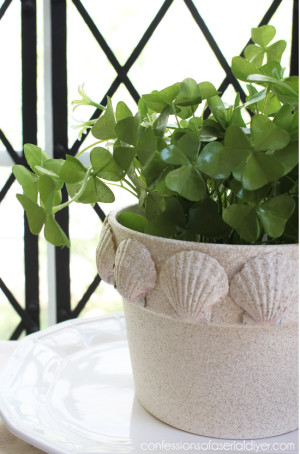 Scallop Shell Terra Cotta Pot {Terra Cotta Pot Challenge} | Confessions ...
