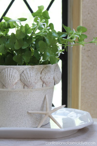 Scallop Shell Terra Cotta Pot {Terra Cotta Pot Challenge} | Confessions ...
