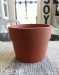 Scallop Shell Terra Cotta Pot {Terra Cotta Pot Challenge} | Confessions ...