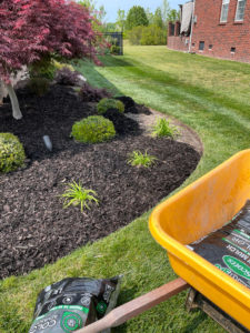 Front Yard Landscaping Update 2022 | Confessions of a Serial Do-it ...